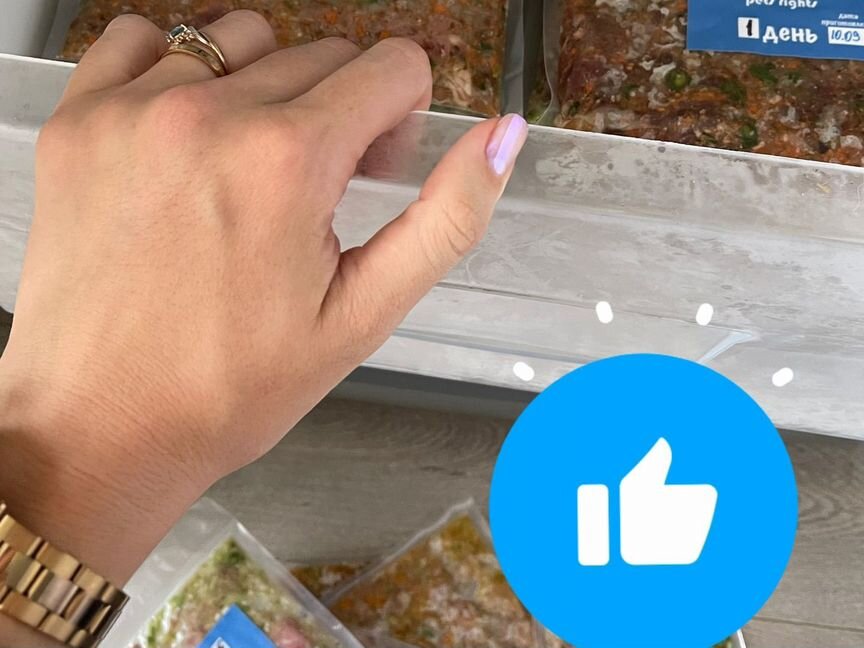 Натуральная еда для собак