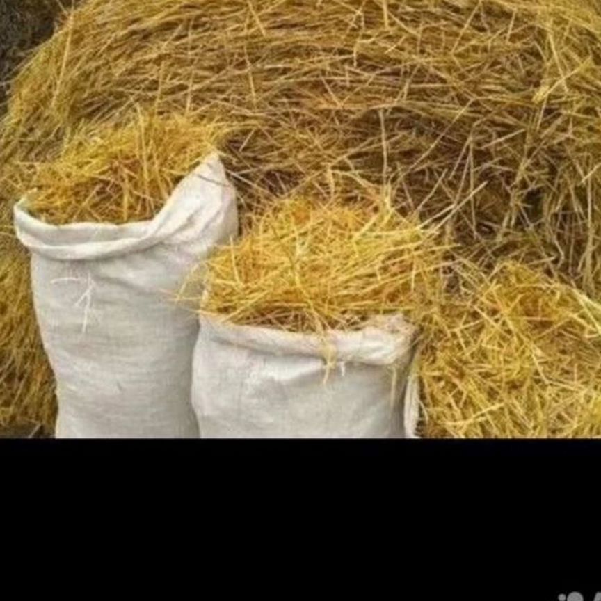 Солома в мешках