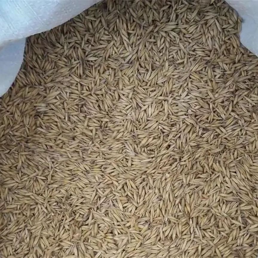 Овес в мешках