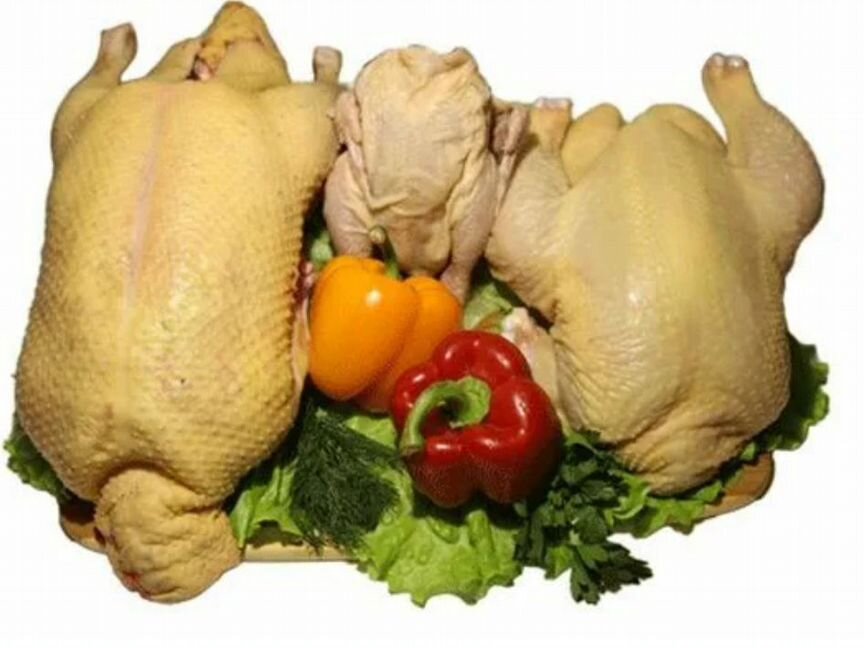 Гуси и индюшки