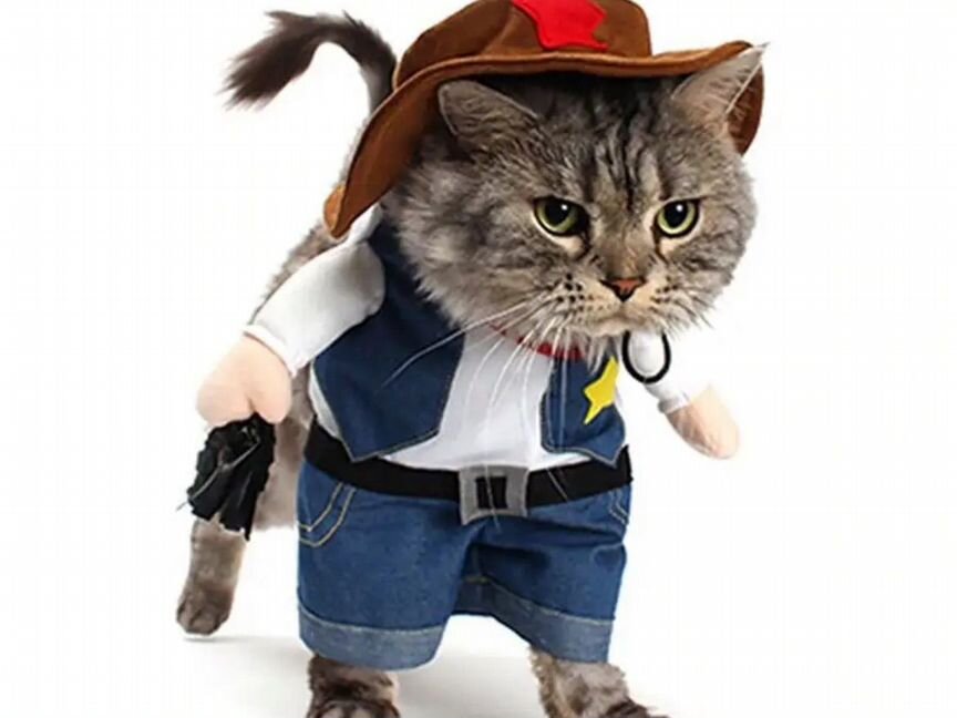 Костюм для собаки кошки