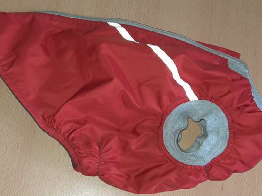 Попона всесезонная М + ошейник 35-40см