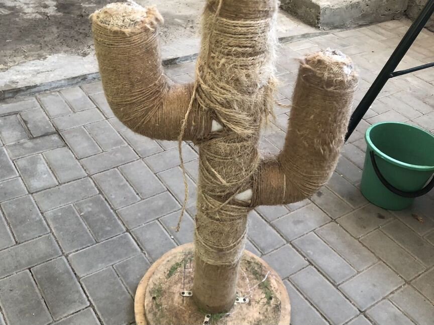 Когтеточка