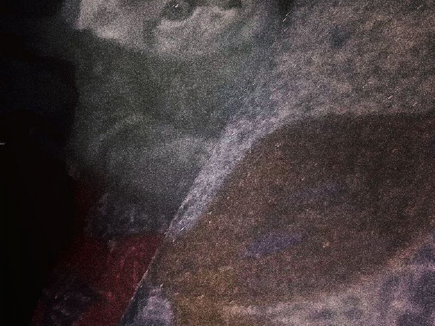 Вислоухий котенок серый