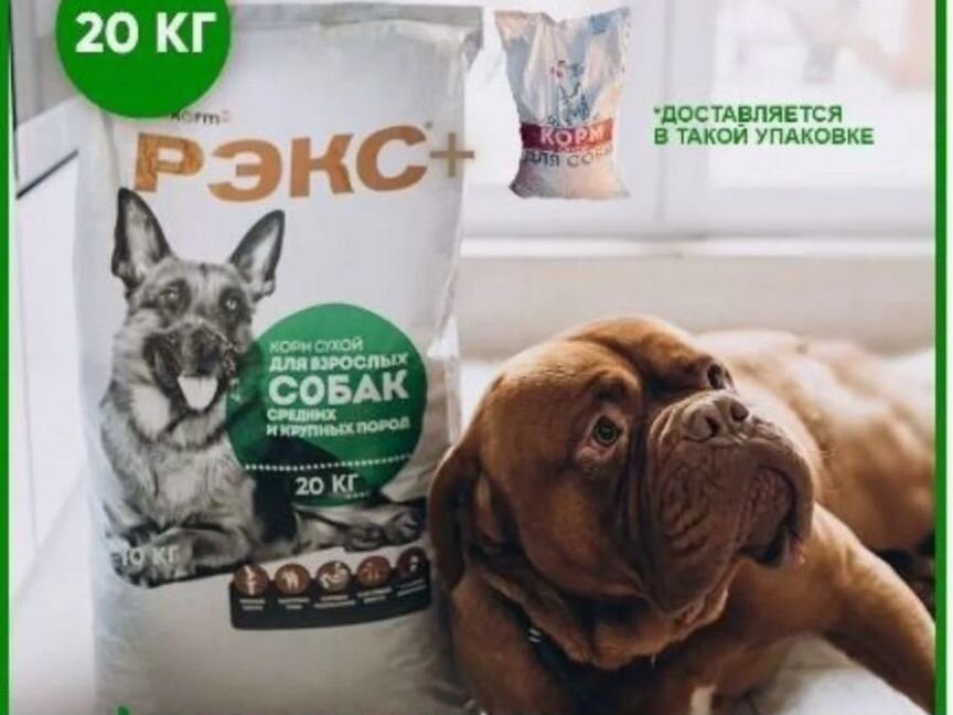 Корм для собак