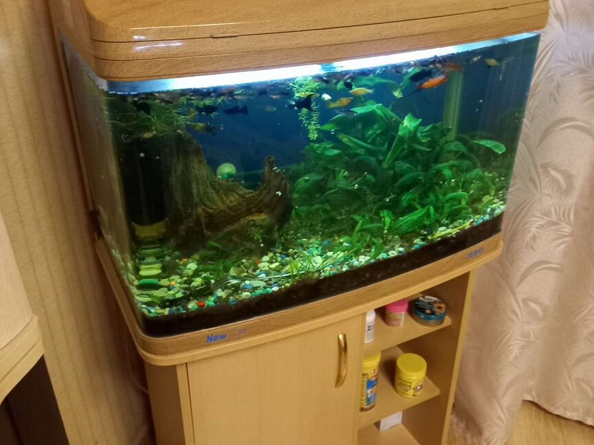 Аквариум