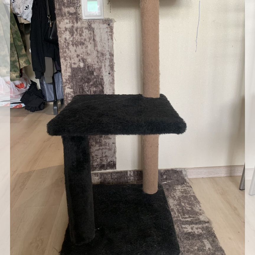 Взрослый кот в добрые руки