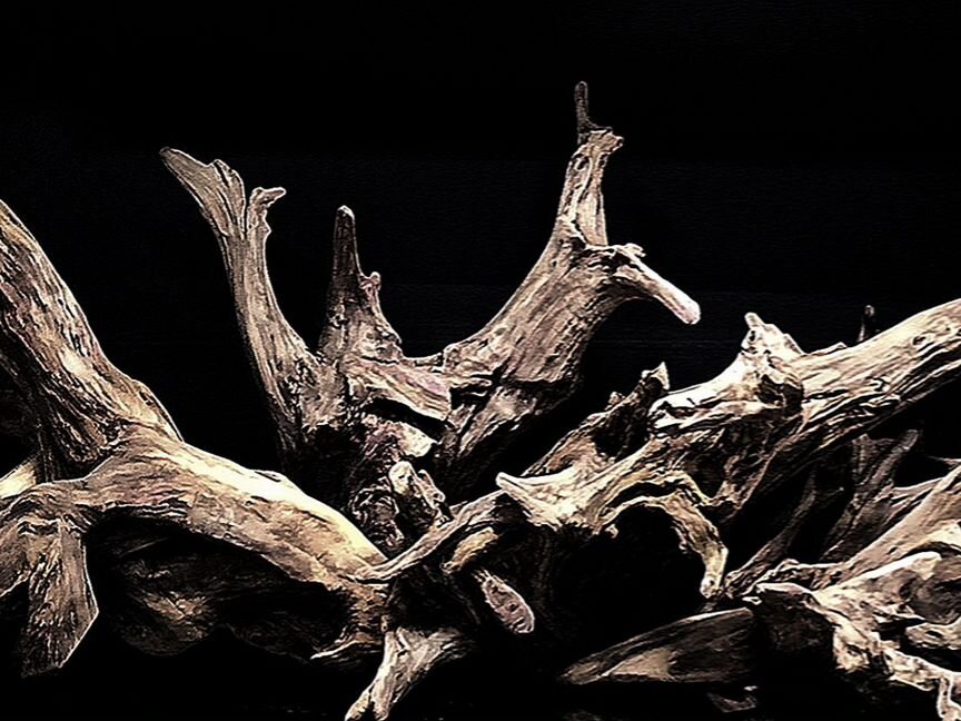 Коряги для аквариума, флорариума, террариума