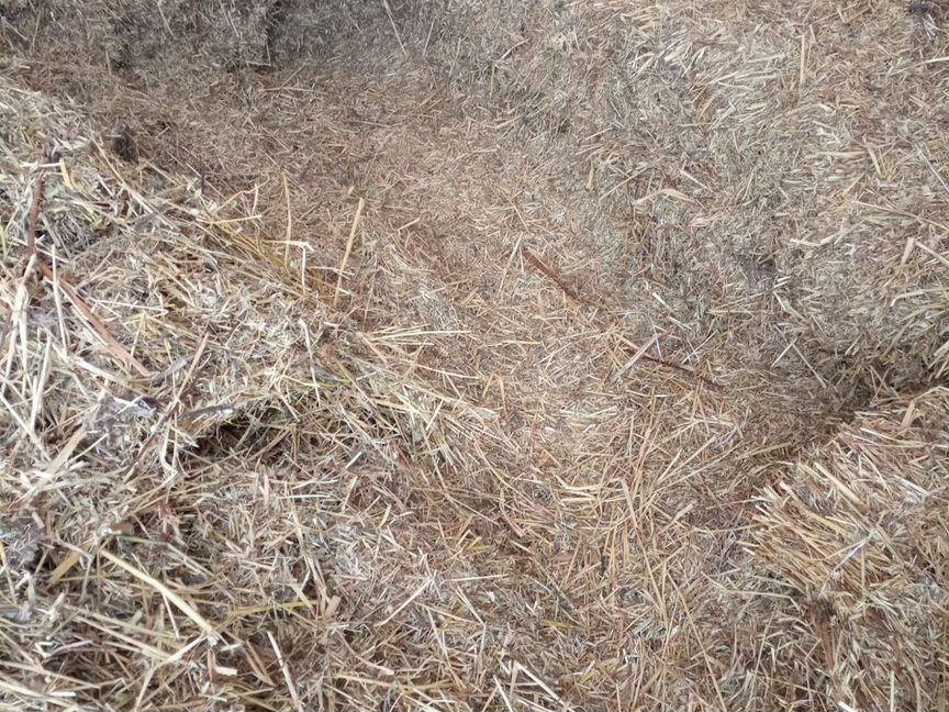 Солома сено в мешках