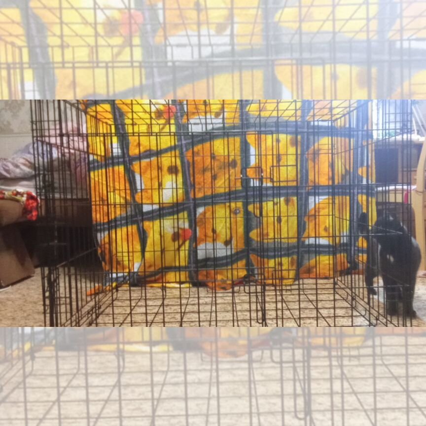 Клетка для собак продам