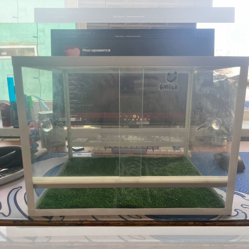 Террариум для рептилий