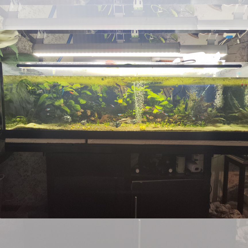 Аквариум с тумбой 400 литров