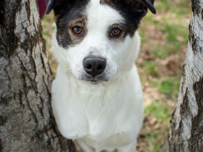 Нежная Мила мёрзнет в приюте