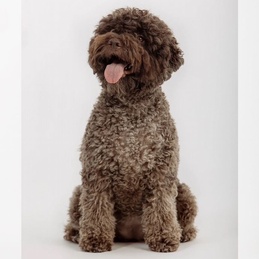 Лаготто Романьоло