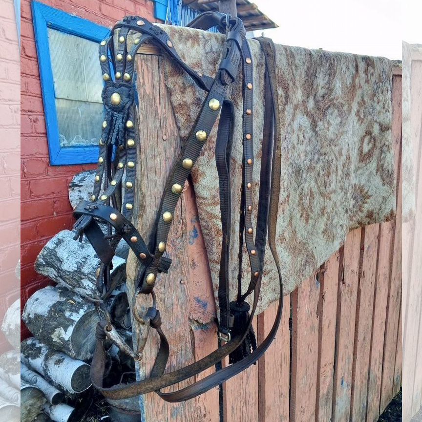 Уздечка для лошади