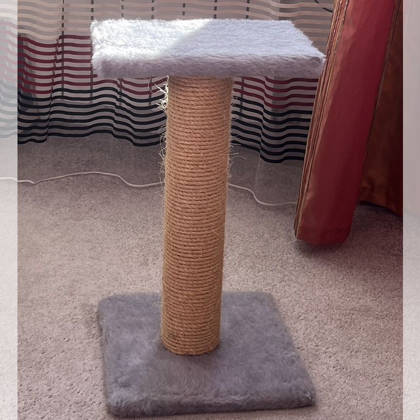 Когтеточка