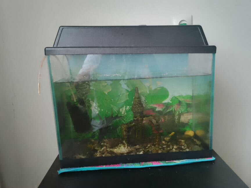 Украшение для аквариума