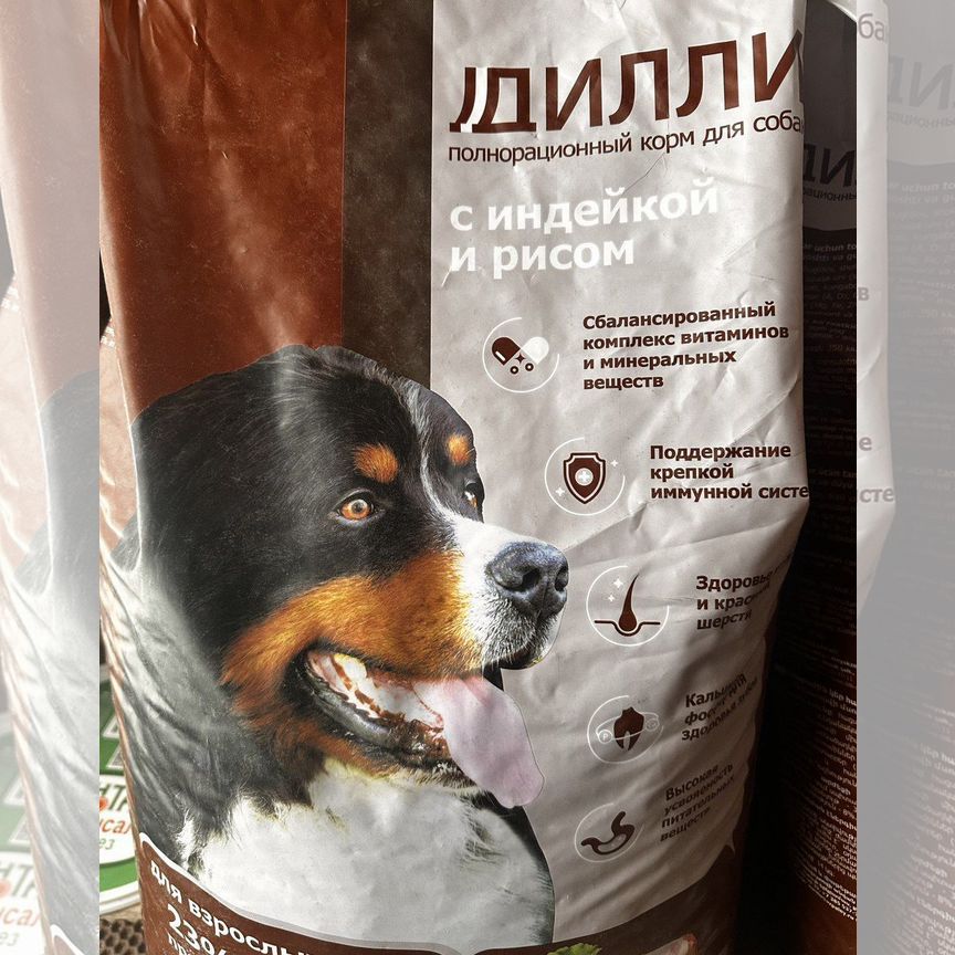 Сухой корм для собак