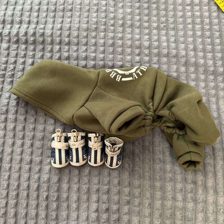 Одежда для маленьких собак