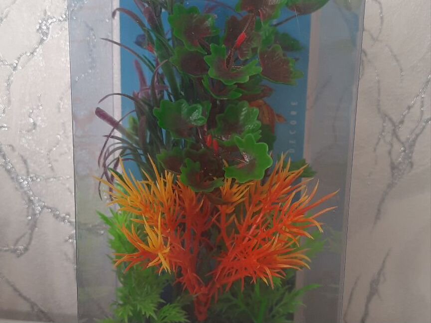 Растения декор для аквариума мох медуза