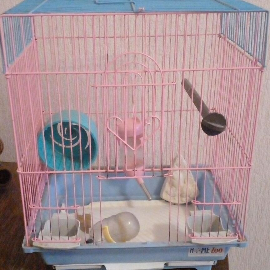 Клетка для джунгарика
