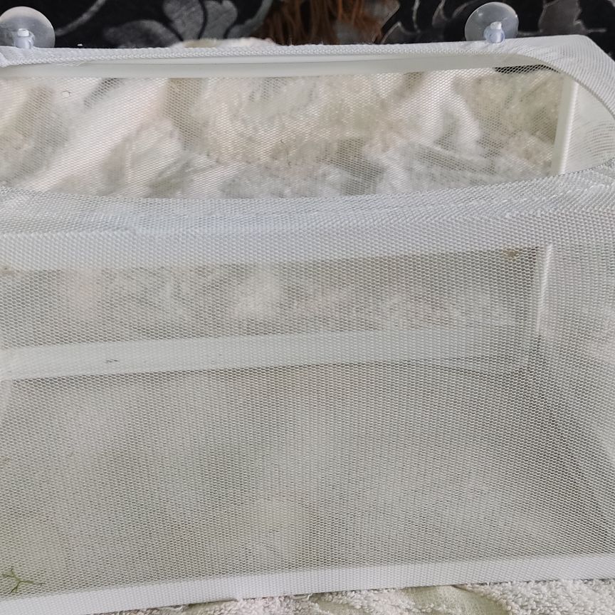 Нерестовик, Декоративные растения искусственные