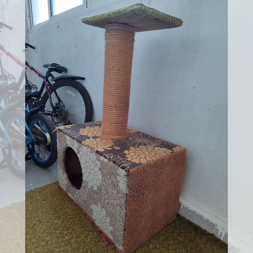 Комик для кота