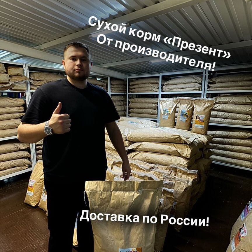 Корм доя собак от 1,5кг