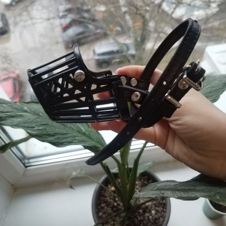 Намордник для маленькой собаки