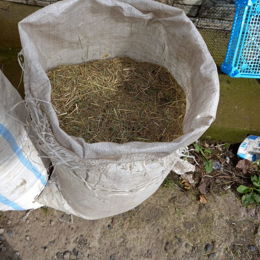 Сено, резка для курей и т.д