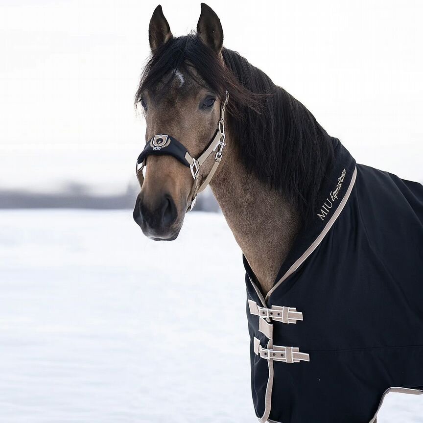 Попона для лошади денниковая