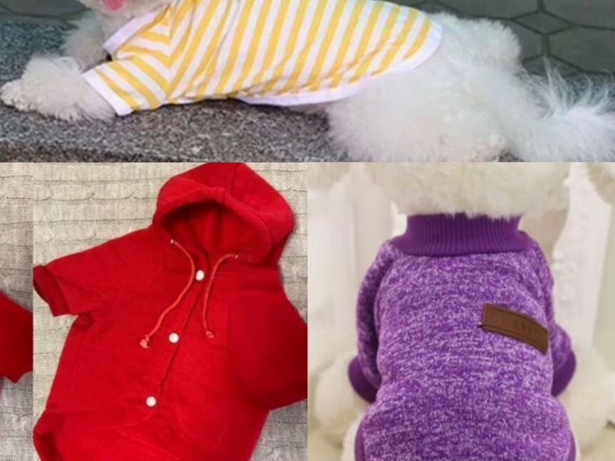 Новые вещи для небольших и маленьких собачек