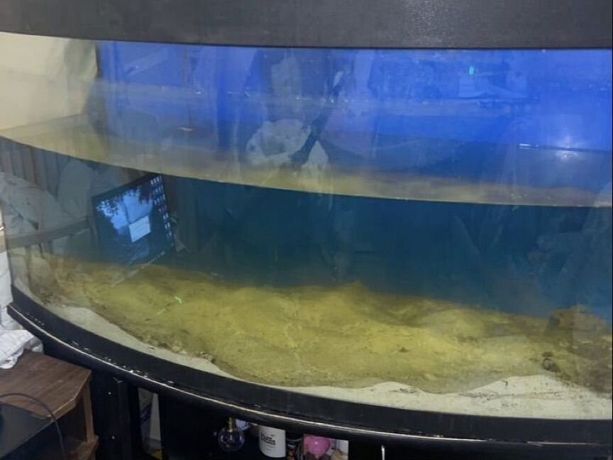 Аквариум 270л