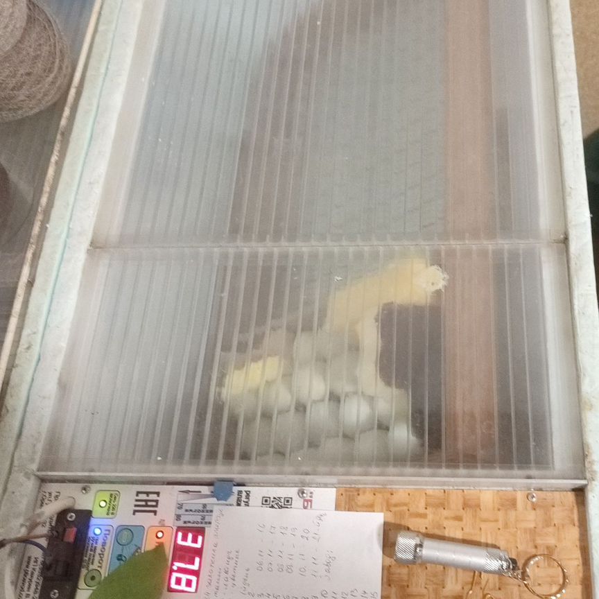 Запчасти для инкубаторов