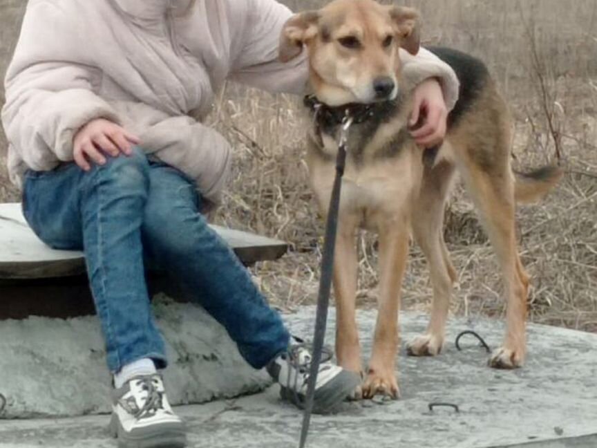 Возьмите мальчишку домой