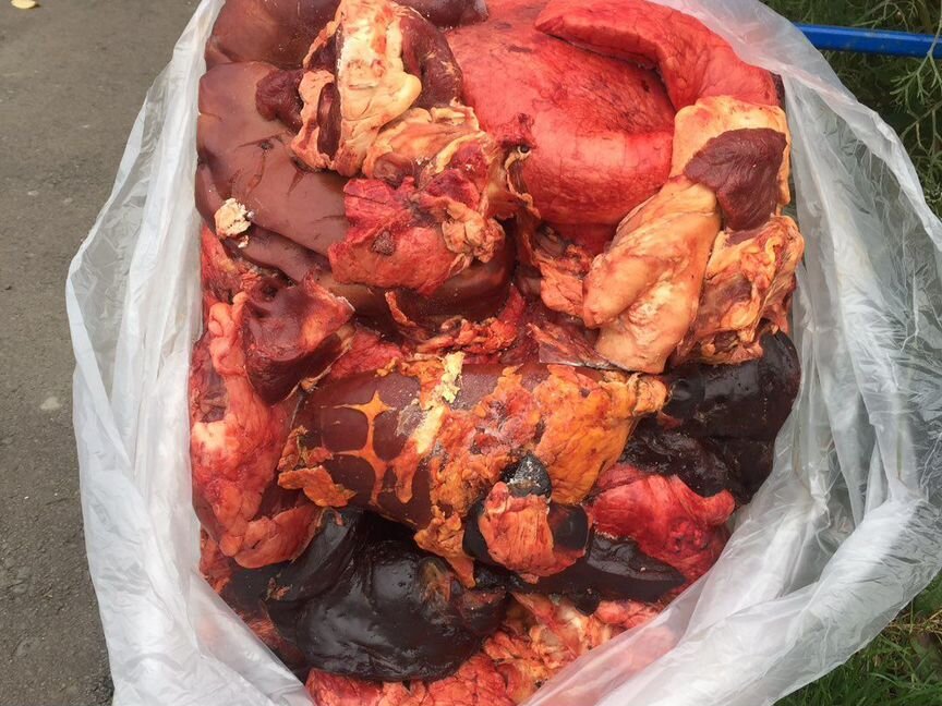 Поделюсь субпродукты для собак