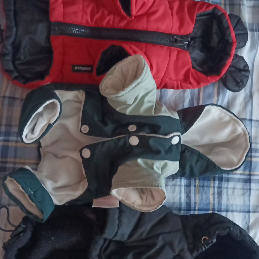 Одежда для собак