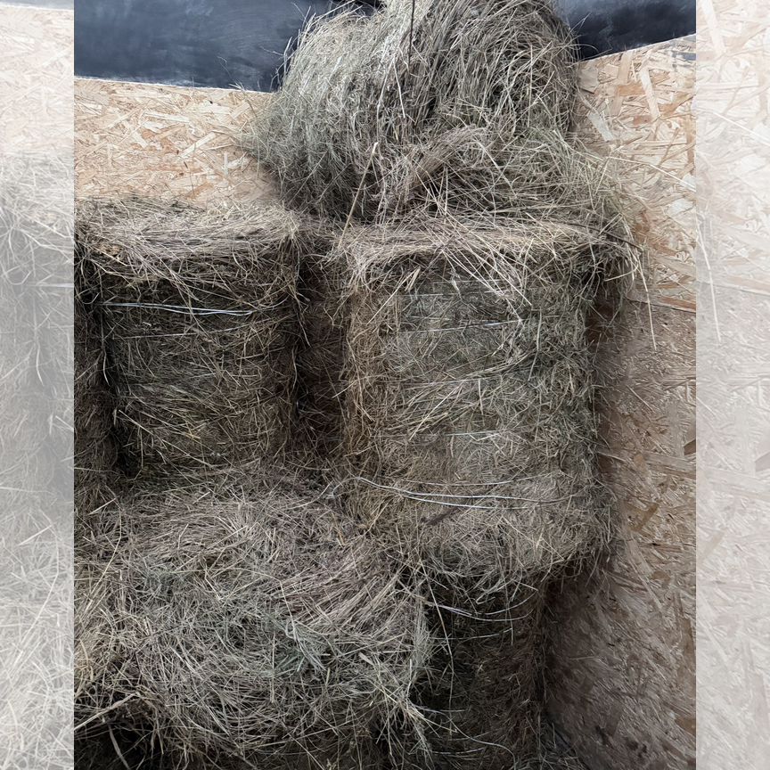 Сено в рулонах