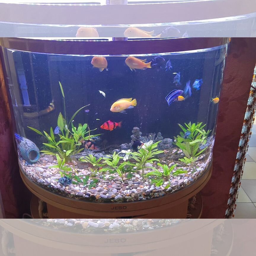Аквариум с тумбой 150л