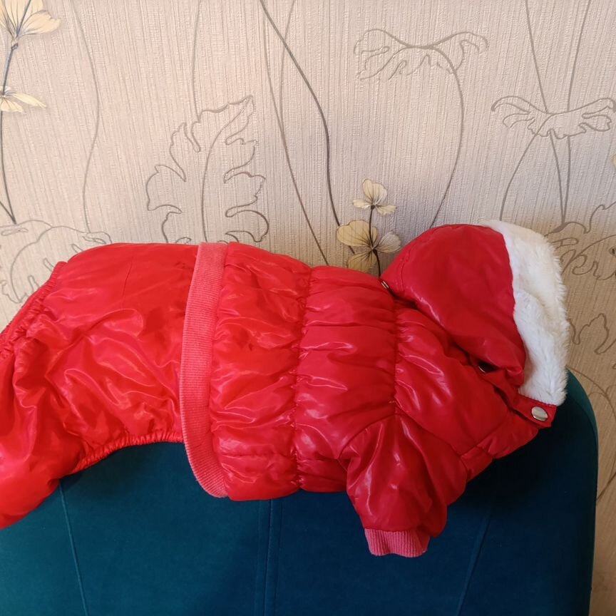 Комбинезон для собак мелких пород