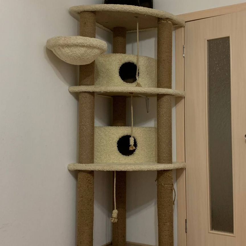 Когтеточка с домиком