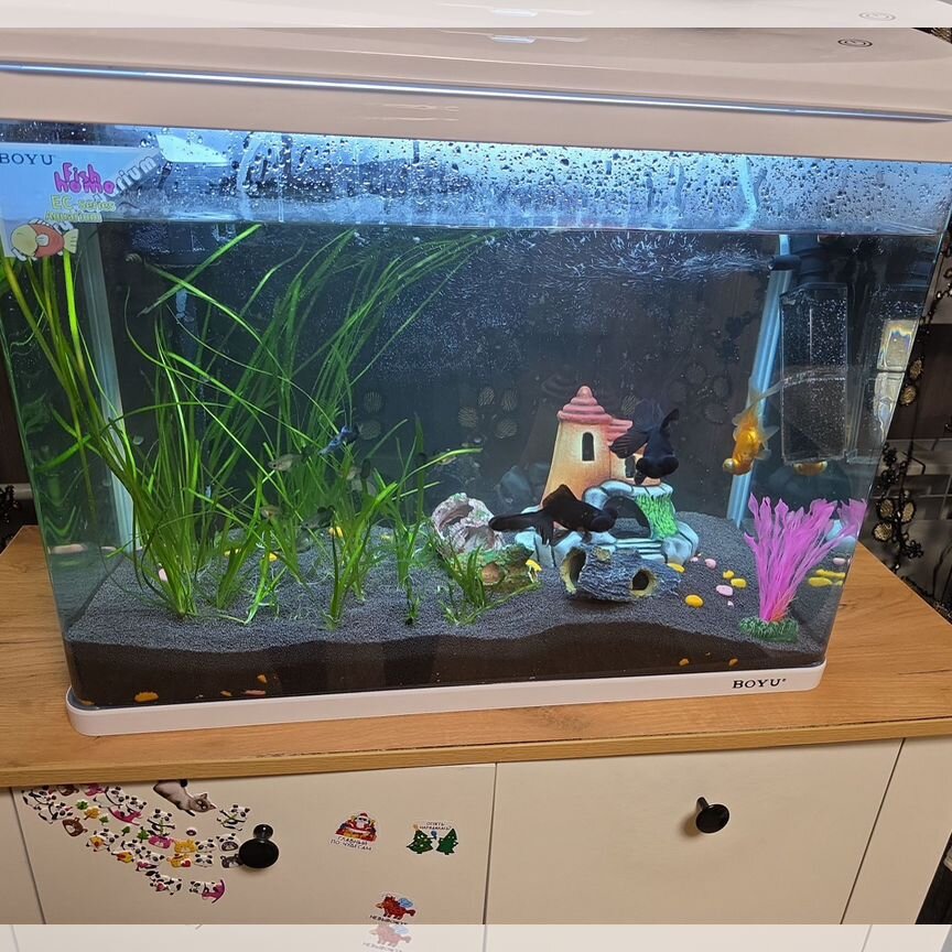 Золотая рыбка телескоп