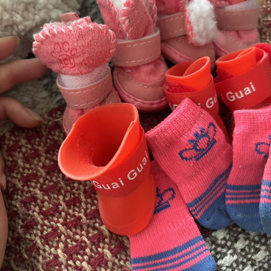 Обувь для собак