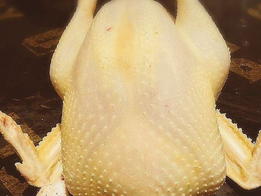 Индюки и индейки