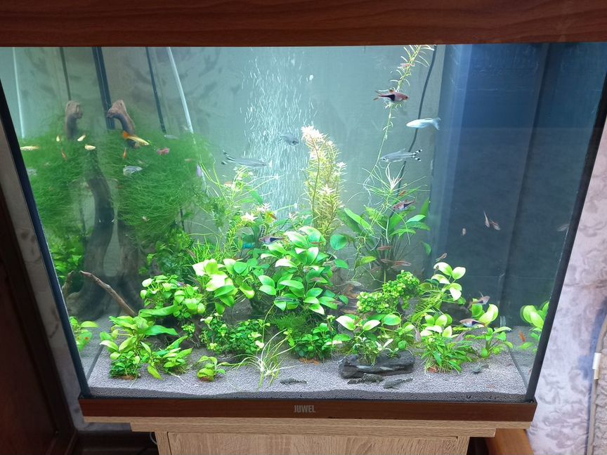 Аквариум Juwel 120л