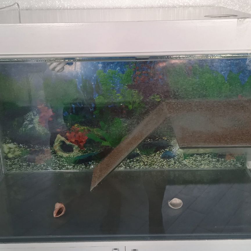 Продам аквариум для пресноводных черепах