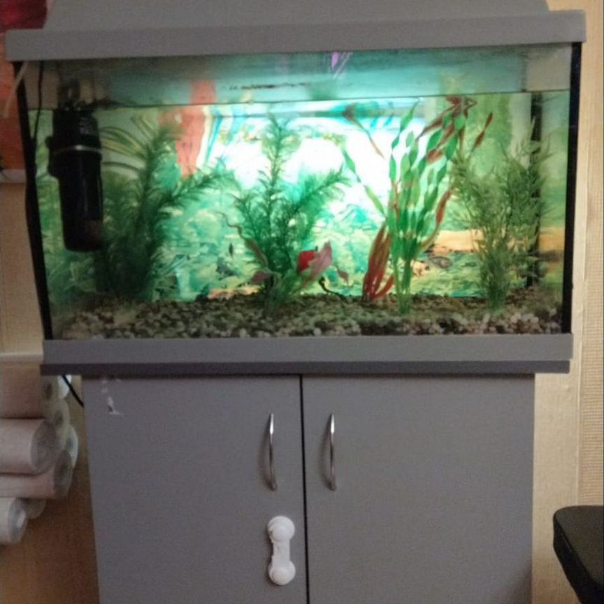 Аквариум с тумбой бу