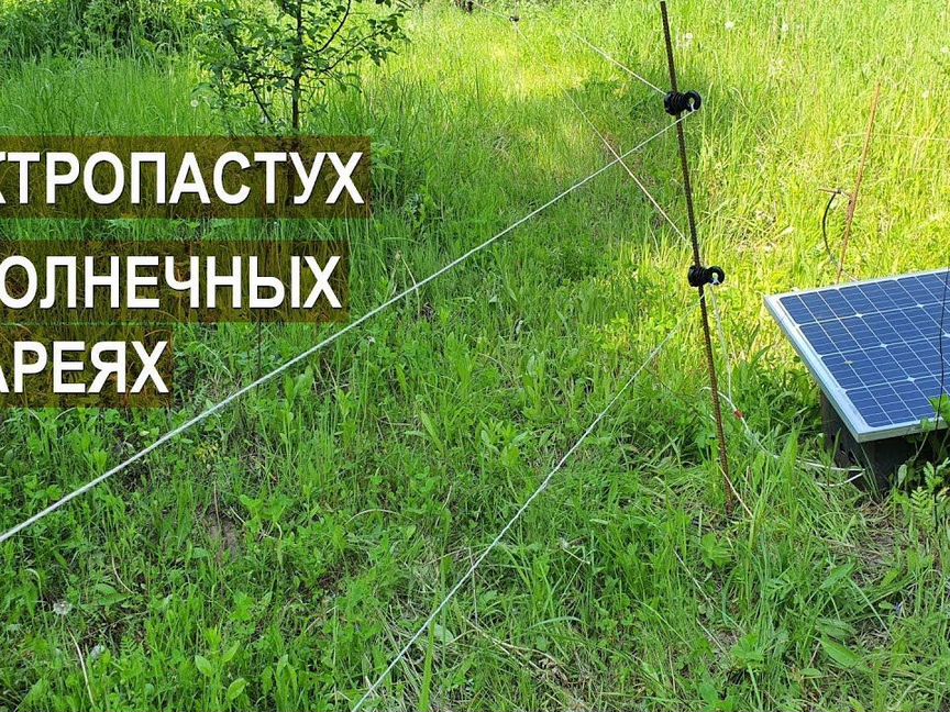 Электропастух на солнечной батарее