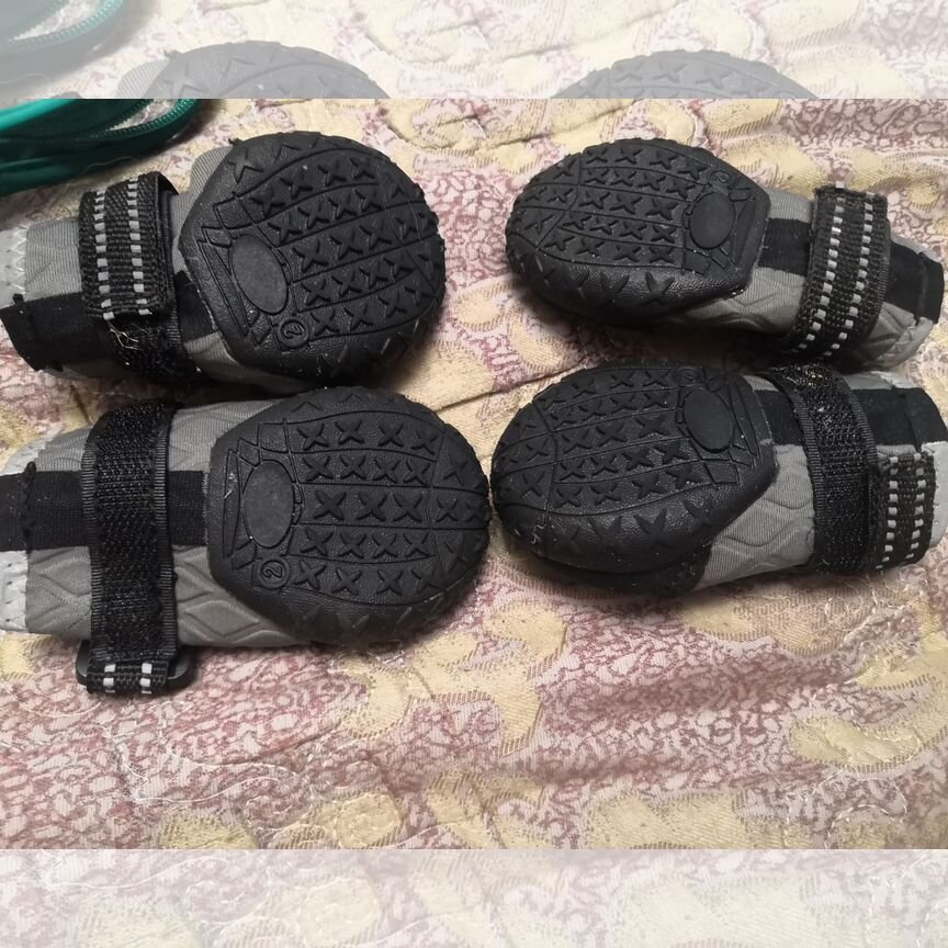 Ботинки для маленьких собак