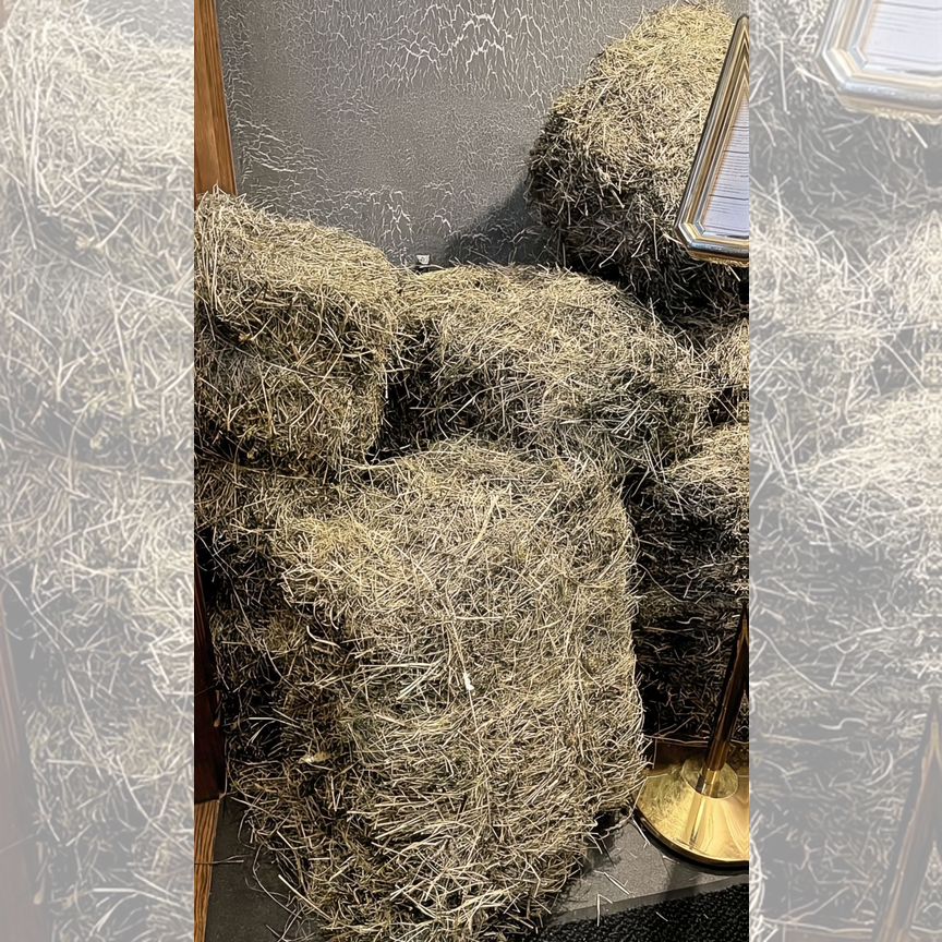 Сено в тюках